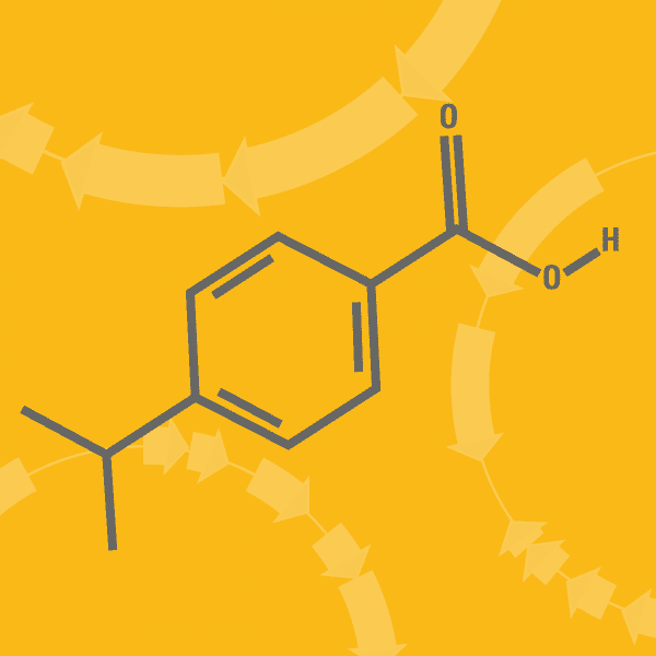 Cumate Inducible Gene Expression Systems | System Bio